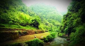 Traveling to Hunan: The Province Where Mao Was Born